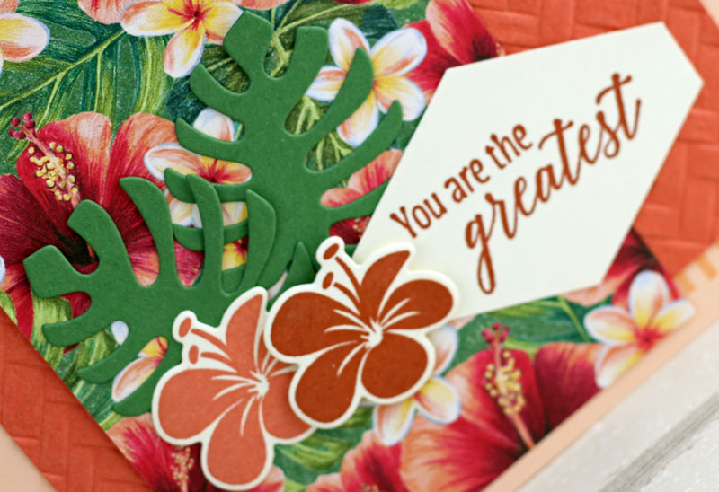 Stamp & Create Team Spotlight - Amanda Farlinger | Stamp & Create With Lisa